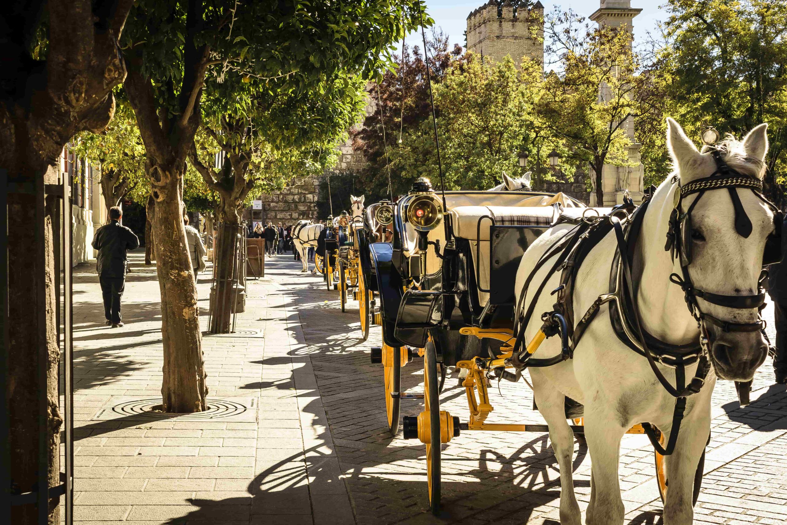 Guía de Sevilla - Gavilansevilla.com